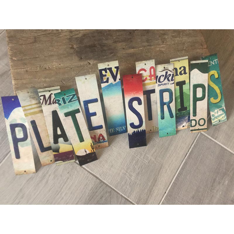 Assorted State Background Cut License Plate Strips | Smart Blonde