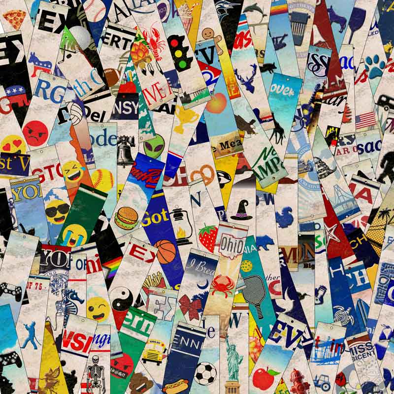 Assorted Novelty License Plate Strips Add Ons Bundle | Smart Blonde