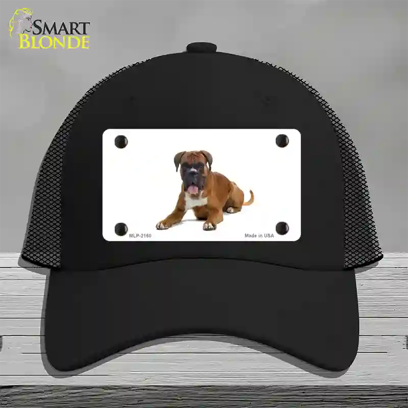 Boxer Dog Novelty License Plate Hat | Smart Blonde