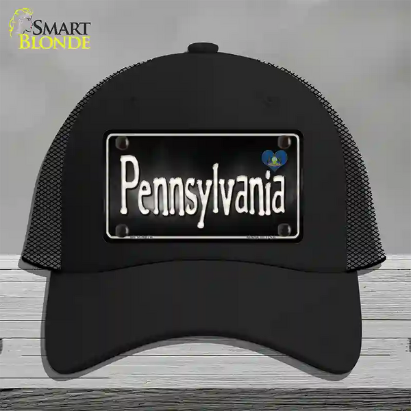 Pennsylvania Flag Script Novelty License Plate Hat | Smart Blonde