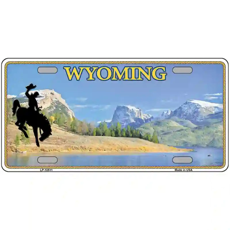 Wyoming Blank Metal Novelty License Plate | Smart Blonde